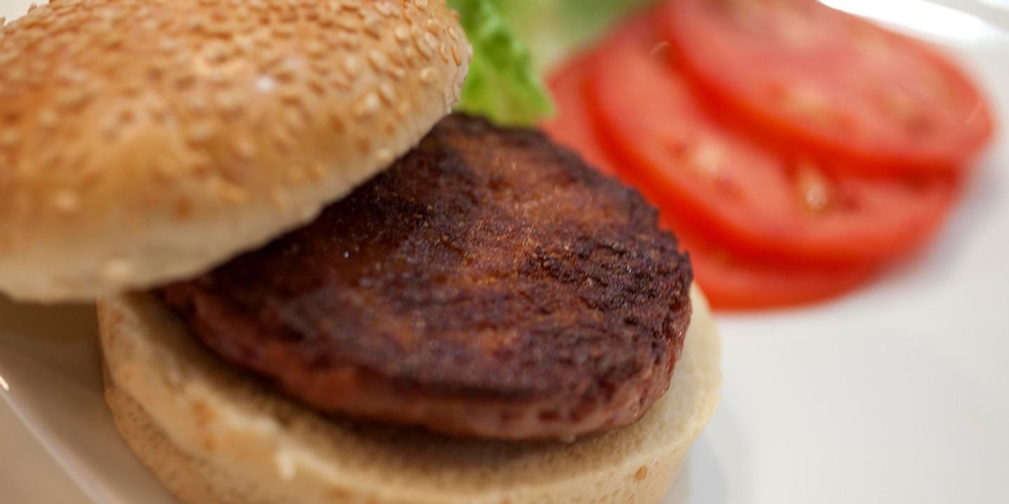 Le premier burger "in vitro" à 250 000 euros les 140 grammes