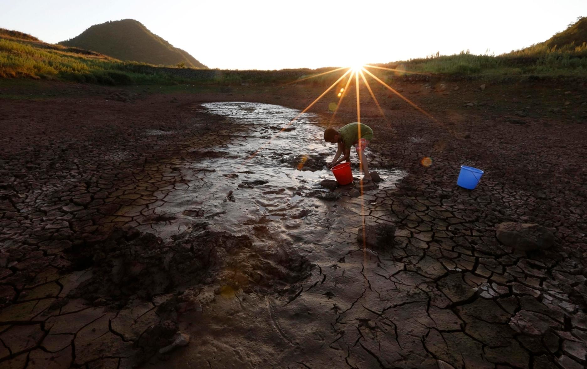 En Chine, la canicule du siècle pousse à être ingénieux et radical