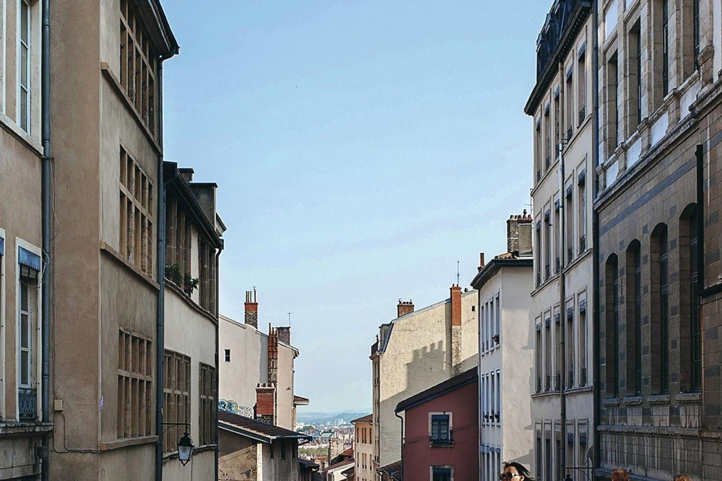 Le Lyon de Gilbert Vaudey