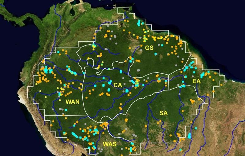La forêt amazonienne inventoriée pour la première fois