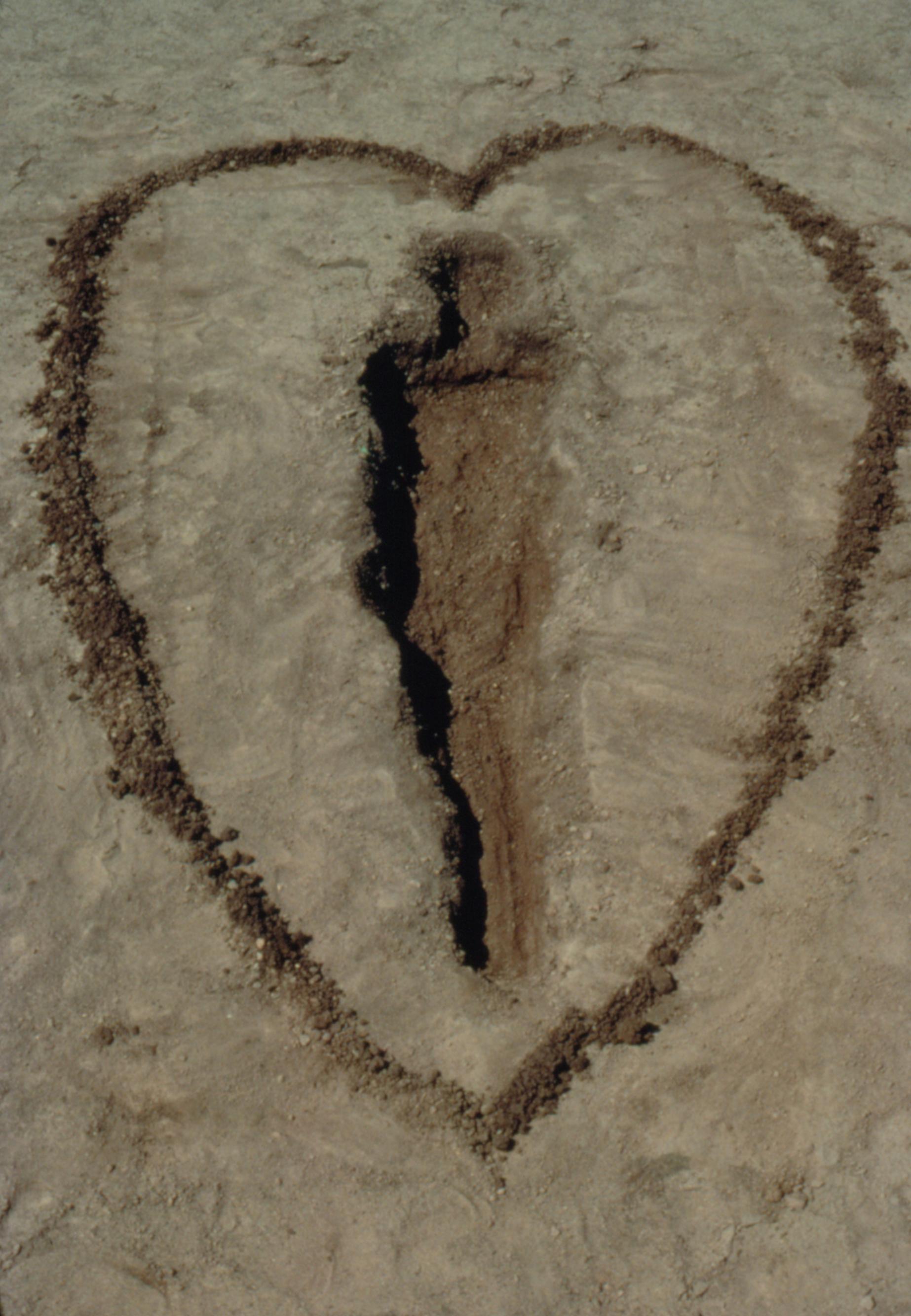 Ana Mendieta L art De La Terre Et Du Sang