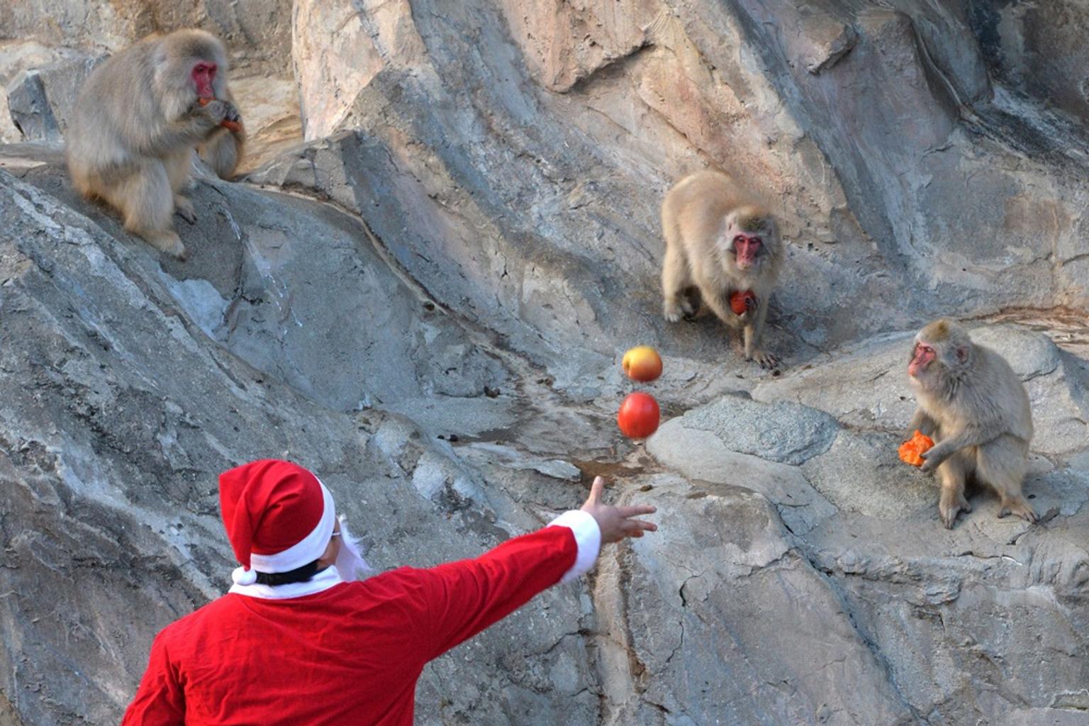 Le Père Noël plongeur et la lueur : les images du 24 décembre