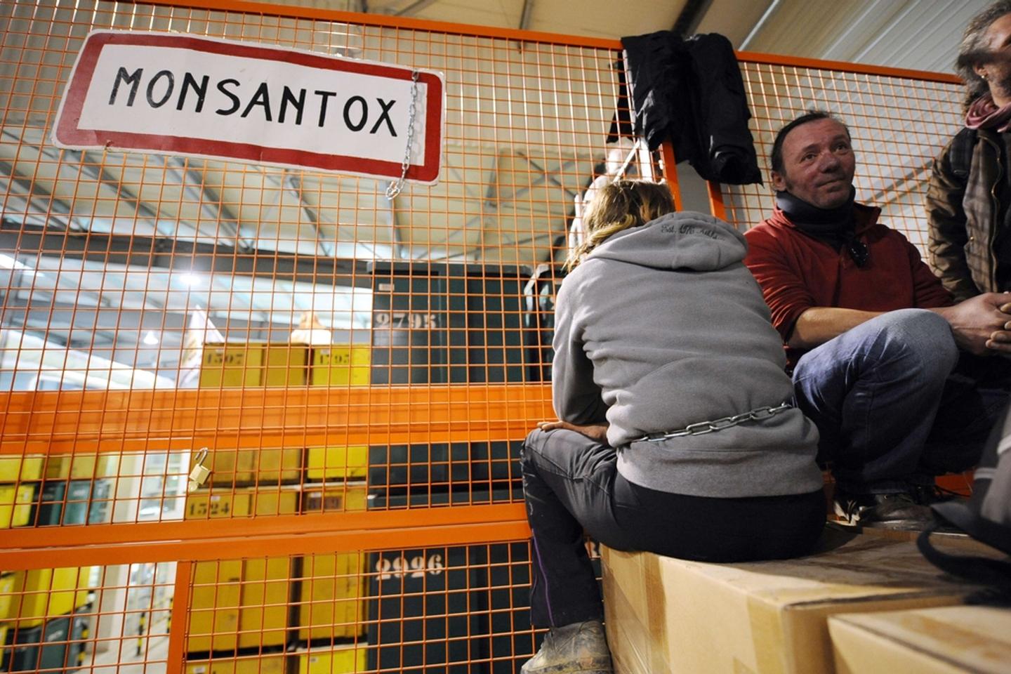 Des militants anti-OGM ont occupé des locaux de Monsanto dans l'Aude