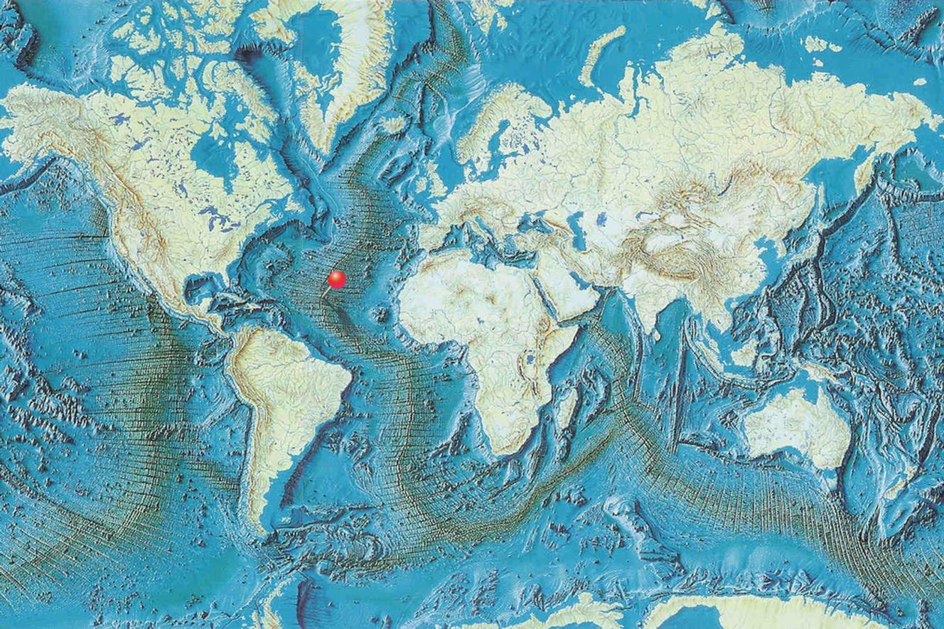 Les grands fonds marins, un univers « majestueux » et « plein de vie