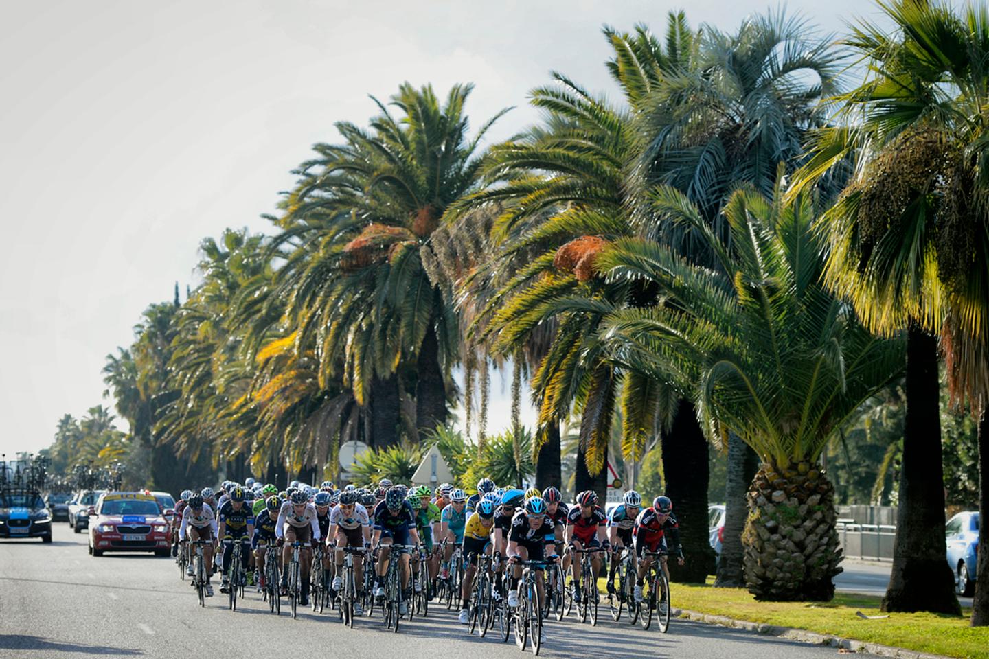 Paris-Nice contre Tirreno-Adriatico, la guerre méditerranéenne du vélo