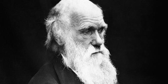 Bac S 2014 : la correction du sujet de SVT