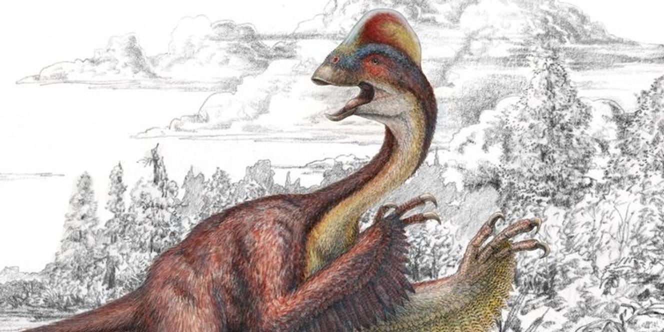 Découverte d'un nouveau dinosaure ressemblant à un « poulet de l'enfer