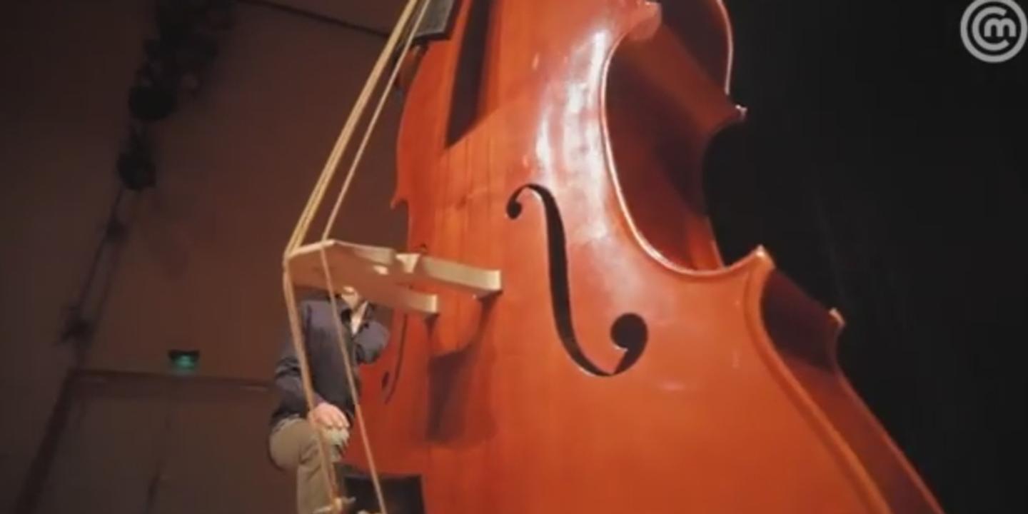 Ecoutez le son caverneux de l'octobasse, cet instrument hors-normes