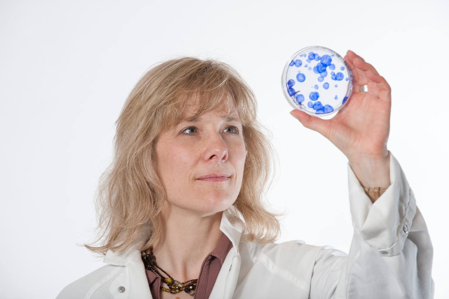 Michelle Rathman-Josserand : Les réservoirs de jeunesse…