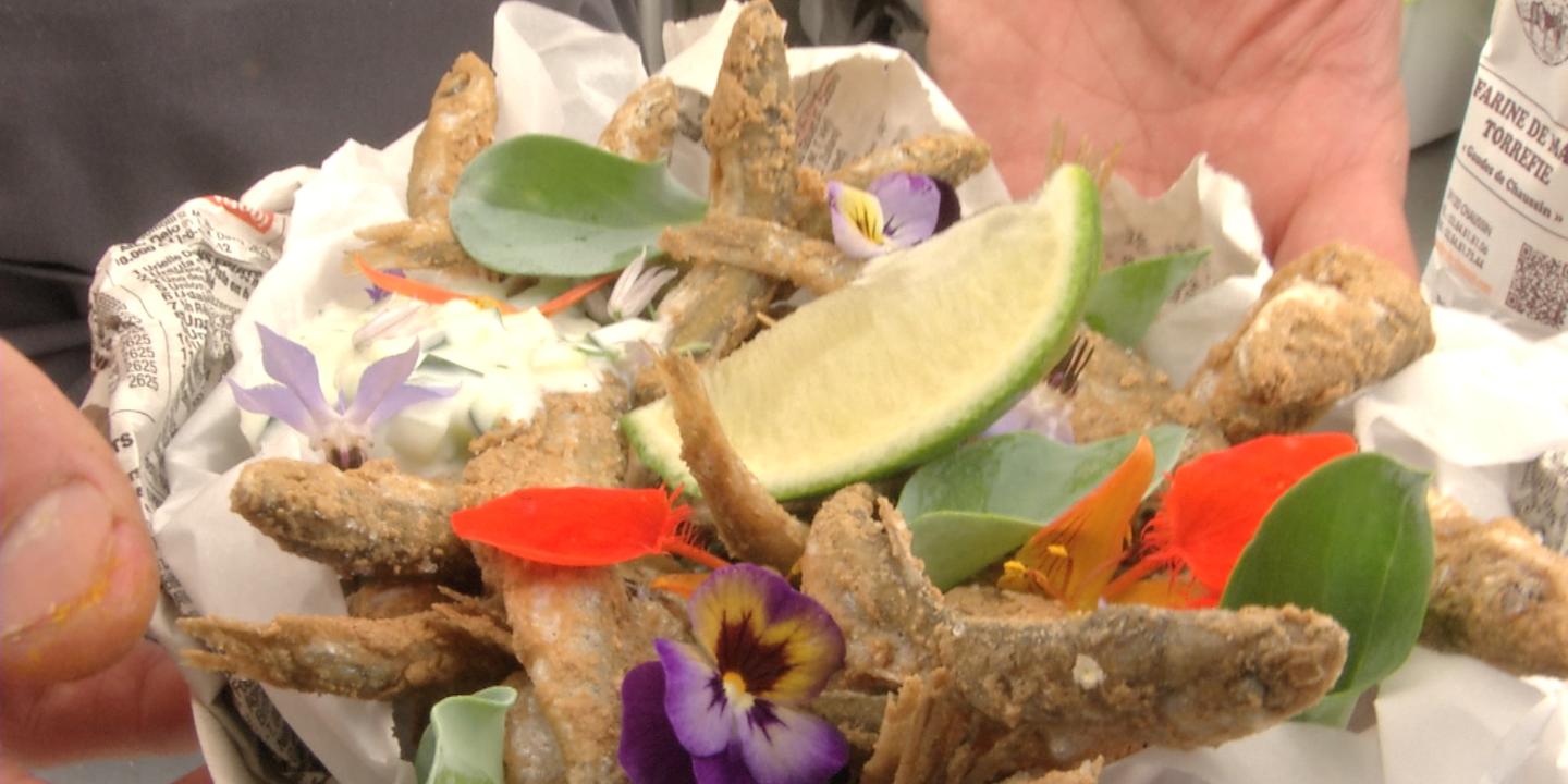 Recette de chef : une friture d’ablettes sauce yaourt, concombre et menthe