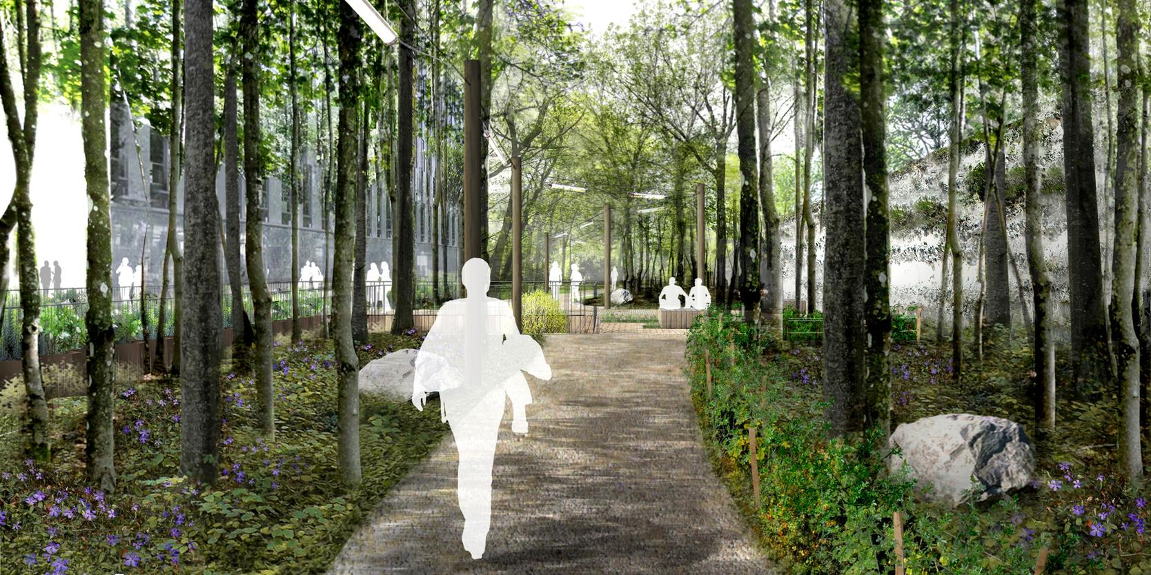 Une forêt du côté du périphérique parisien