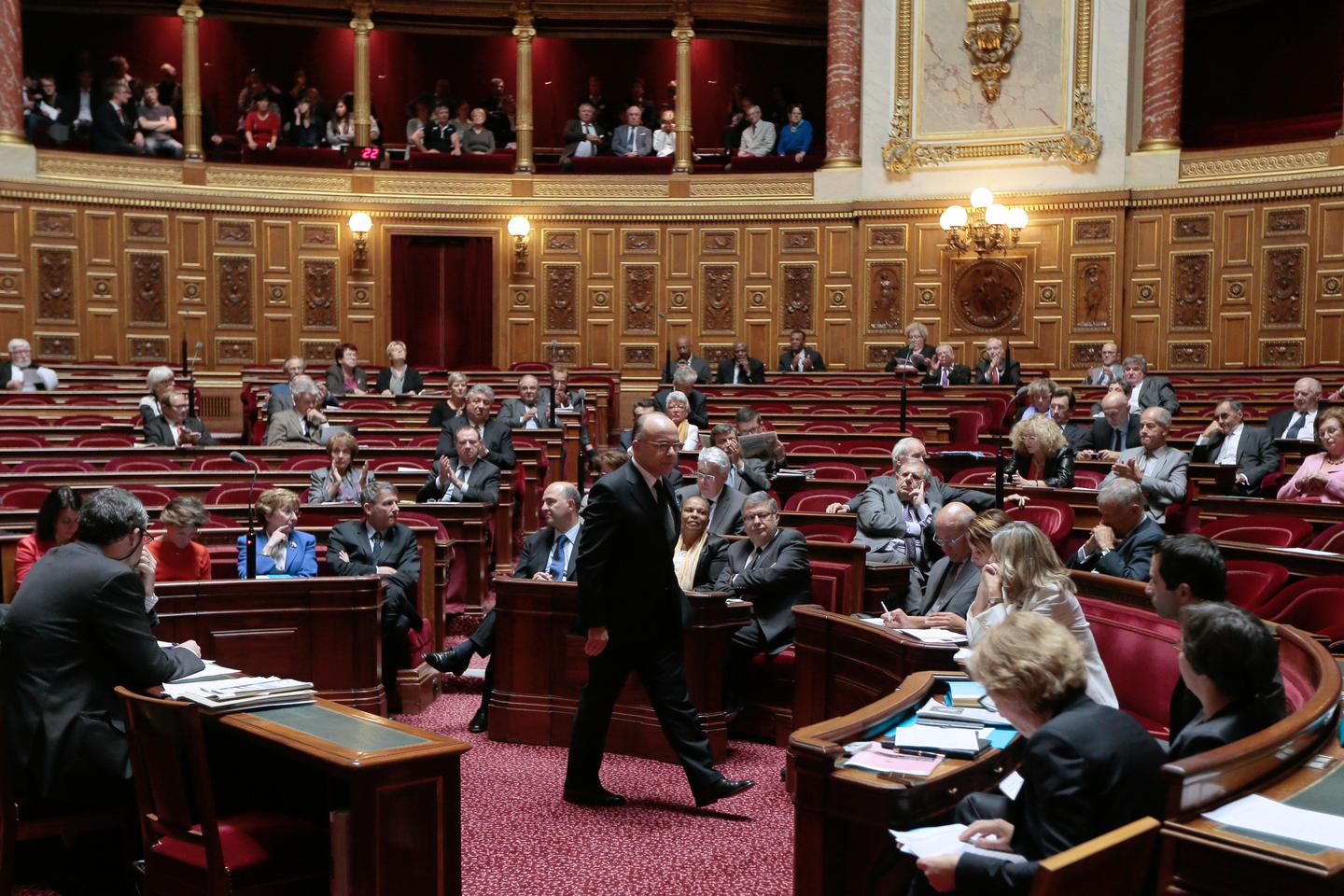 Sénatoriales, mode d'emploi (4/6) : à quoi sert le Sénat