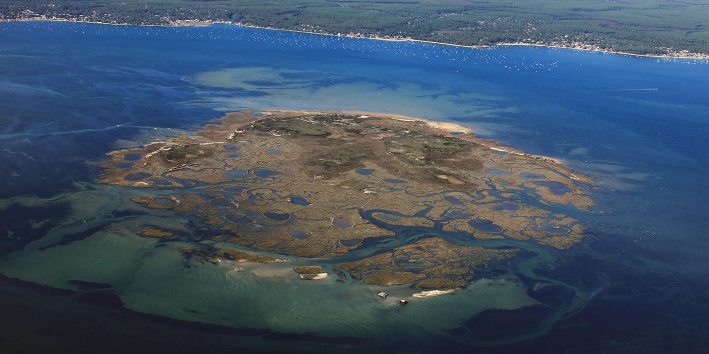 « Les amoureux du bassin