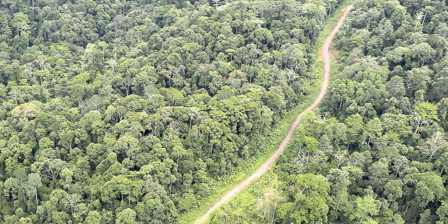 25 millions de kilomètres de routes nouvelles, de quoi faire 600 fois ...