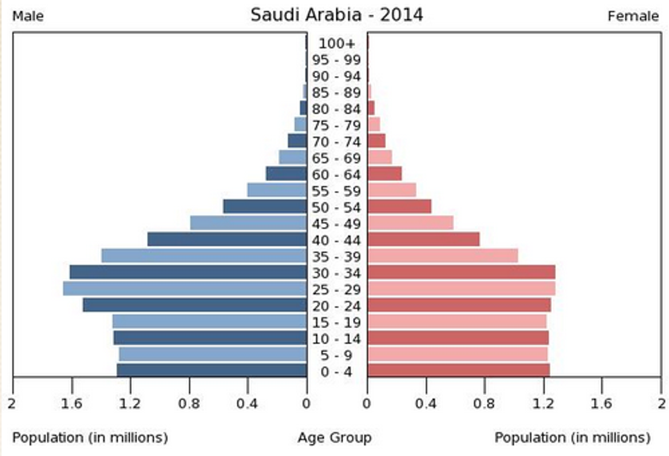 Les défis de l'Arabie saoudite en chiffres Les défis de l'Arabie saoudite en chiffres