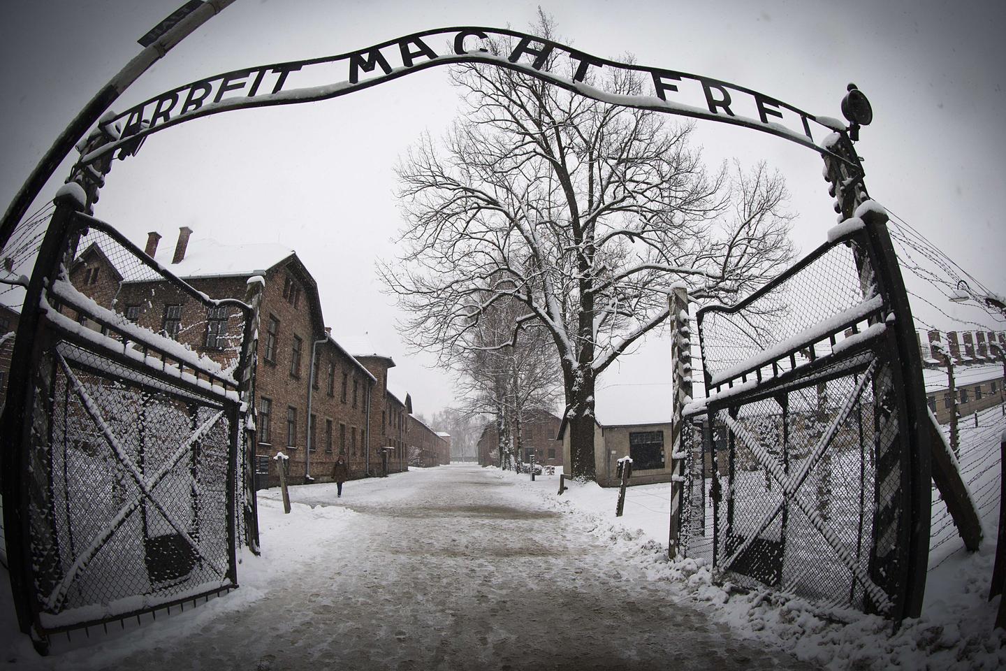 Benjamin Orenstein, rescapé d’Auschwitz : « Pendant quarante-huit ans ...