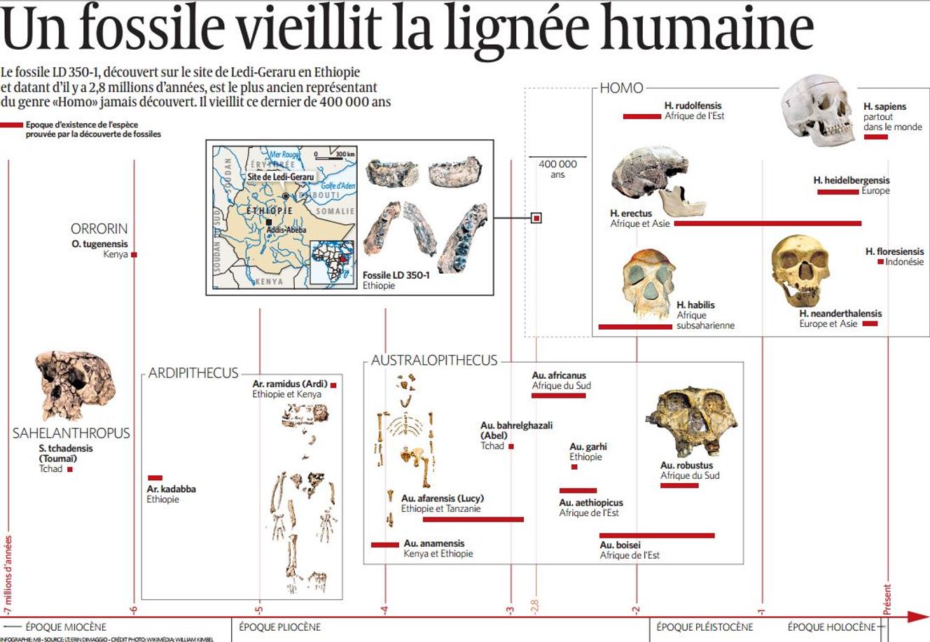 Paléontologie : une mandibule africaine vieillit le genre humain de 400 ...