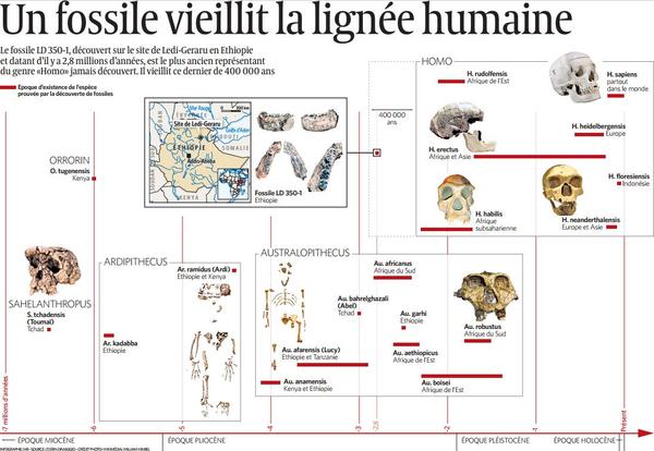 Paléontologie : une mandibule africaine vieillit le genre humain de 400 ...