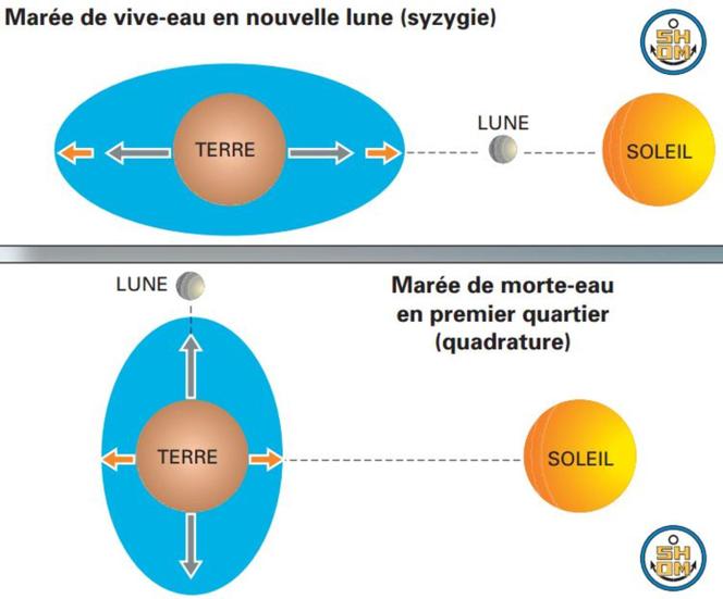 Comment la « marée du siècle » s’explique-t-elle
