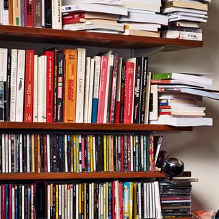 Denis Pingaud, le conseiller controversé de Mathieu Gallet