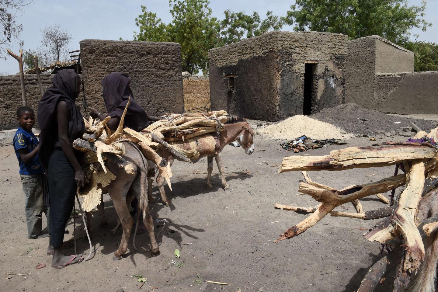 Plus de 2,5 millions de personnes menacées par la faim au Niger