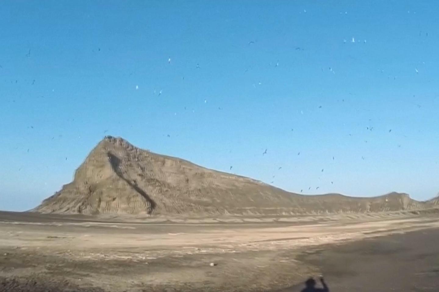 Visite guidée d’une île volcanique tout juste sortie des eaux du Pacifique
