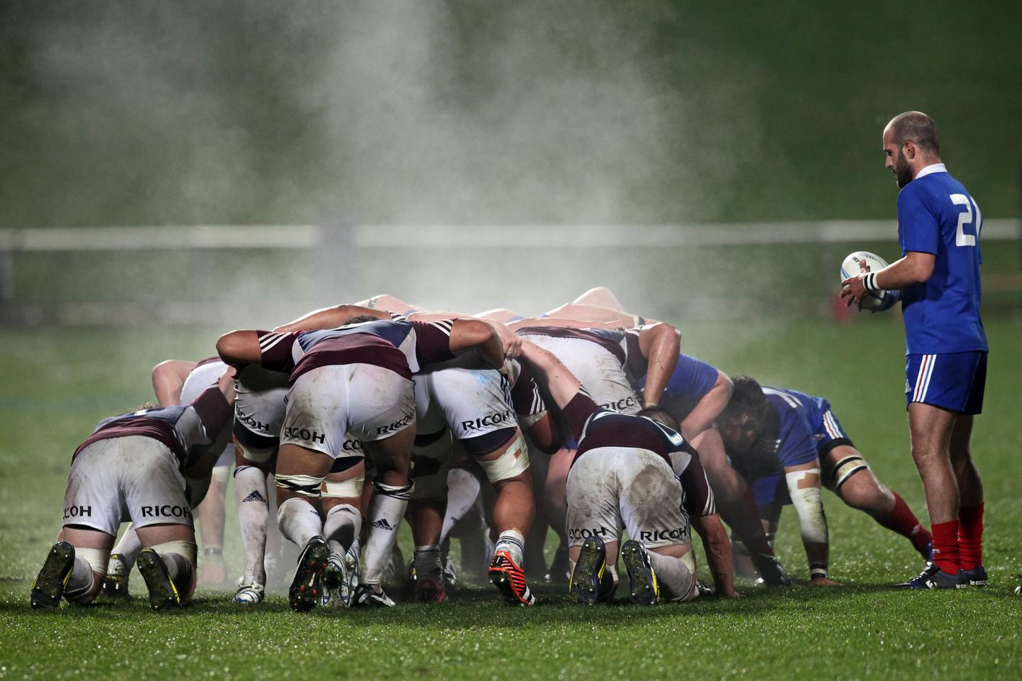 Coupe du monde de rugby : TF1 et Canal+ entrent en mêlée