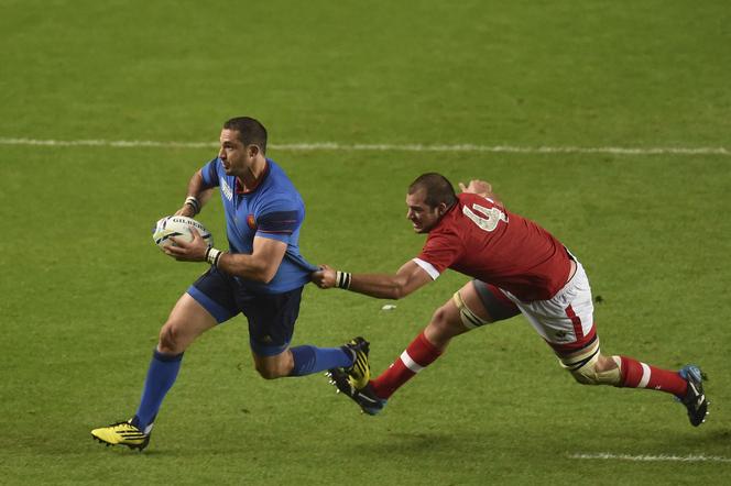 Coupe du monde de rugby : les Bleus assurent de fortes audiences à TF1