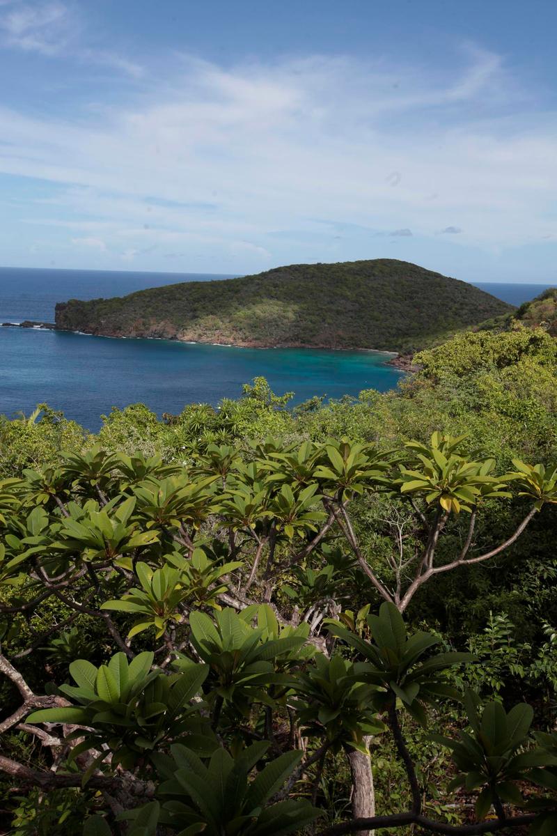 Guana, une île préservée