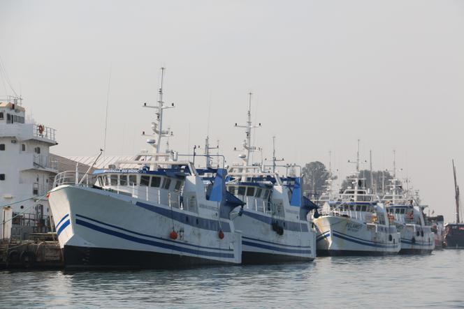 L’économie du Mozambique dans le rouge sur fond de scandale Ematum