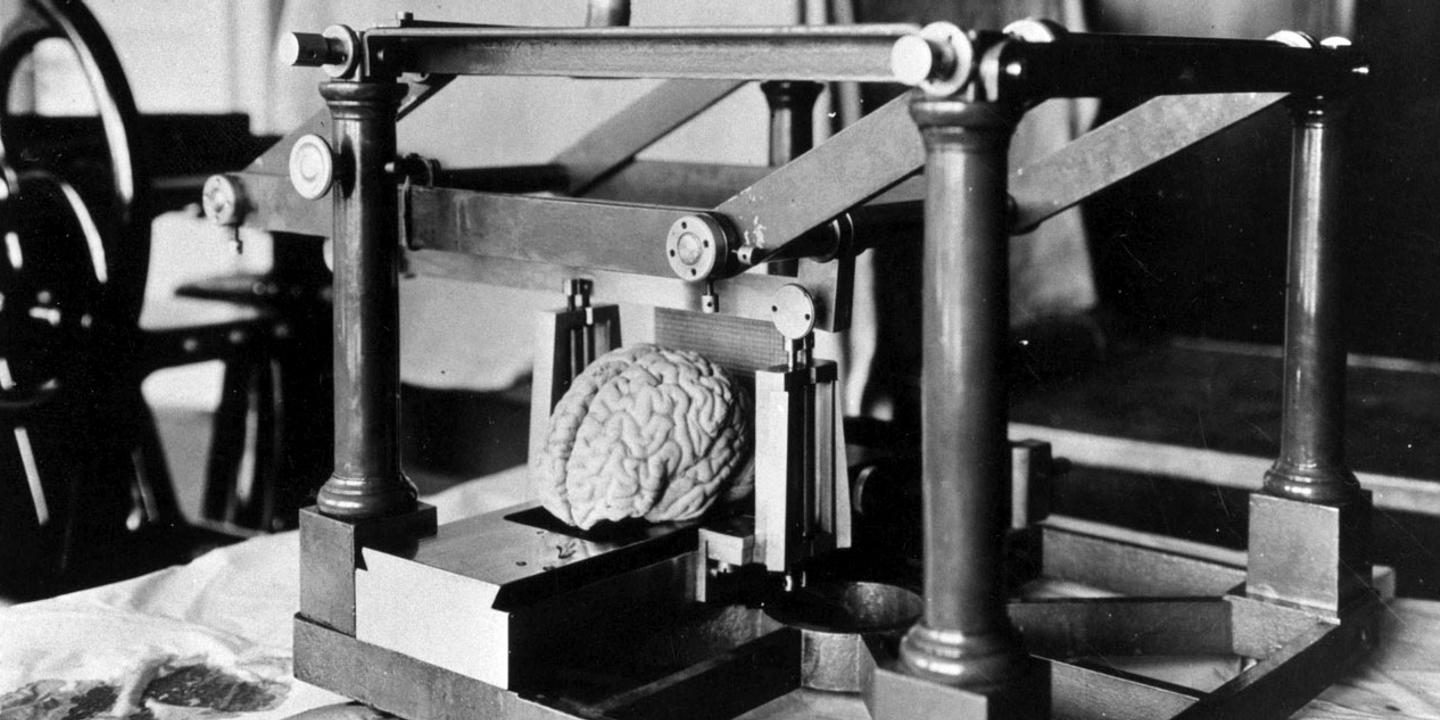 « T4 », prologue de la « solution finale