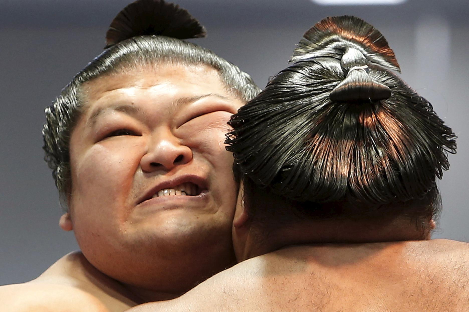 Le sumo, l’autre tradition du printemps japonais