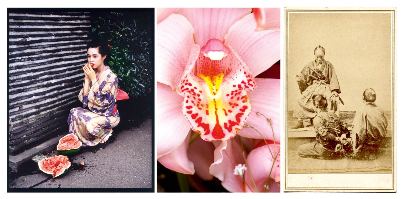 Les ligotages d’Araki au Musée Guimet