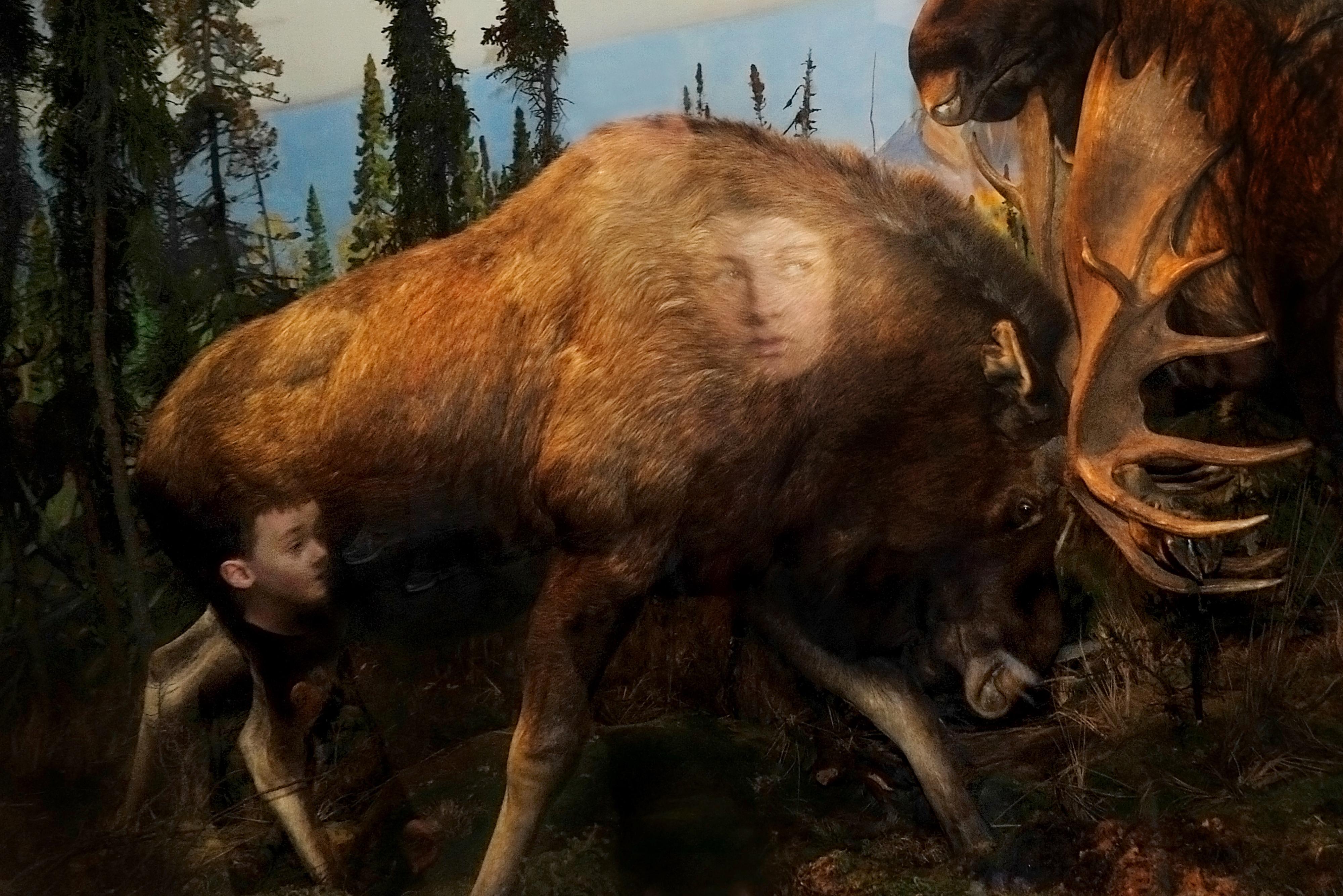 Humains et animaux, à la vie à la mort
