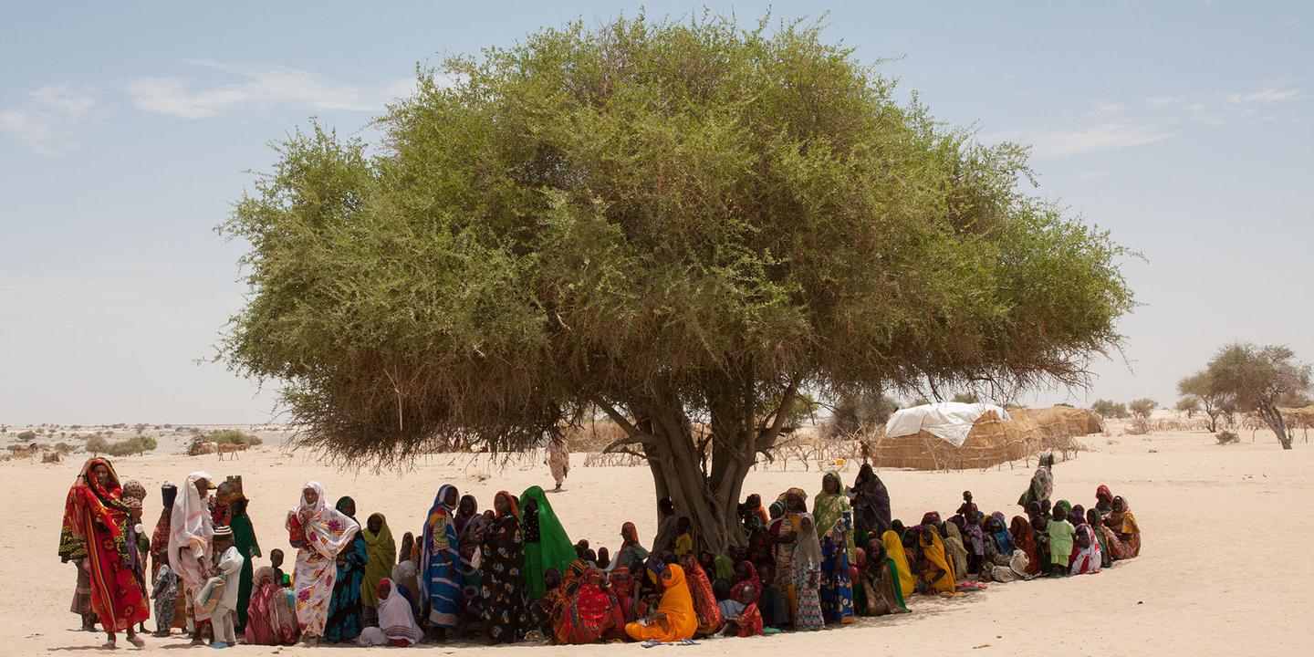 Avec les déplacés du lac Tchad, chassés par les tueries de Boko Haram
