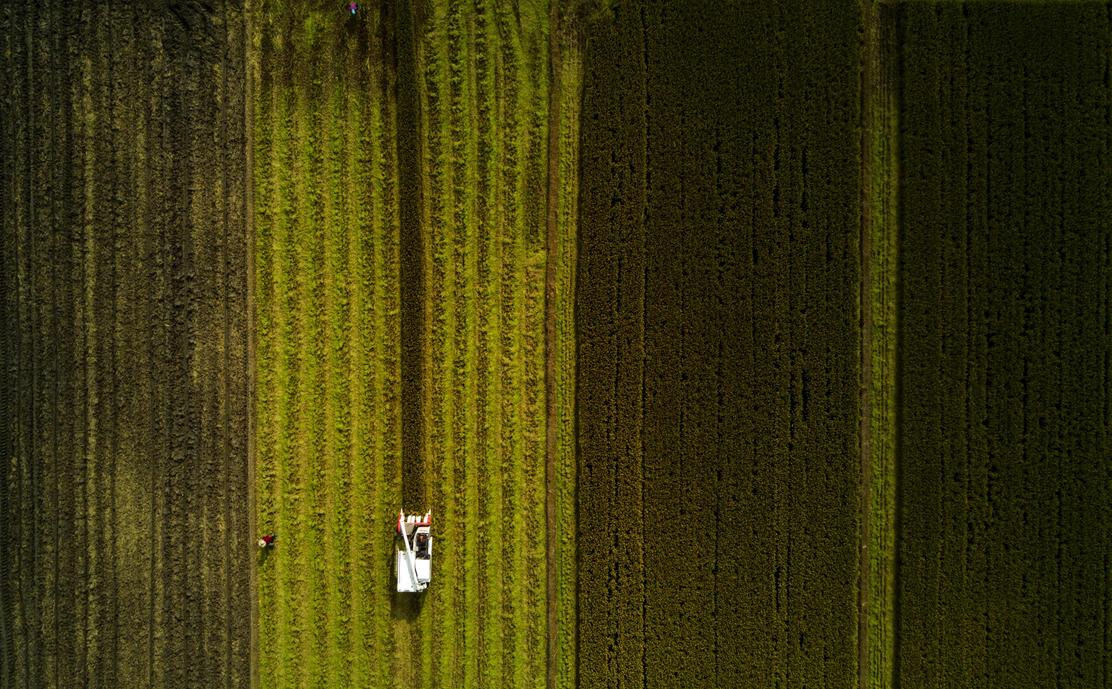 « Climat : l’agriculture fait partie de la solution