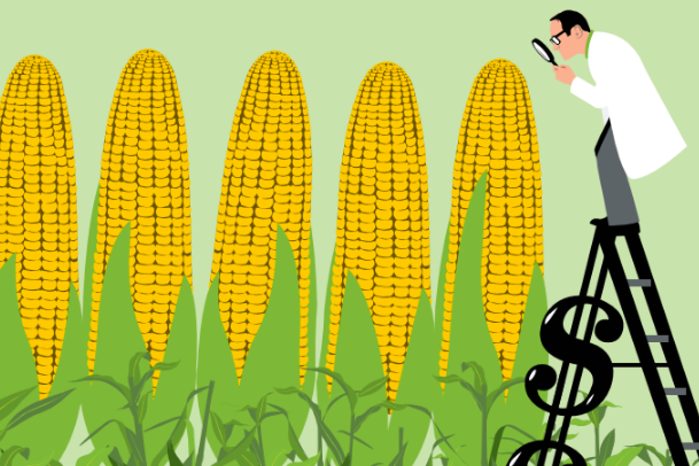 La recherche sur les OGM est minée par les conflits d’intérêts