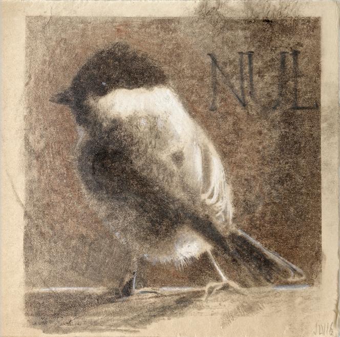 Etoiles, paillettes et plumes, le monde idéal de Jean-Luc Verna