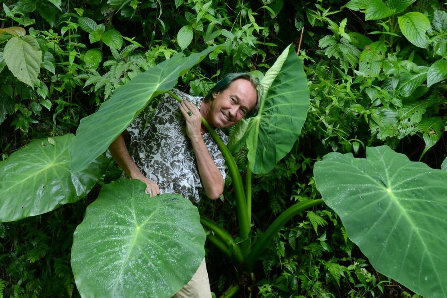 Patrick Blanc fait rimer vert et spectaculaire