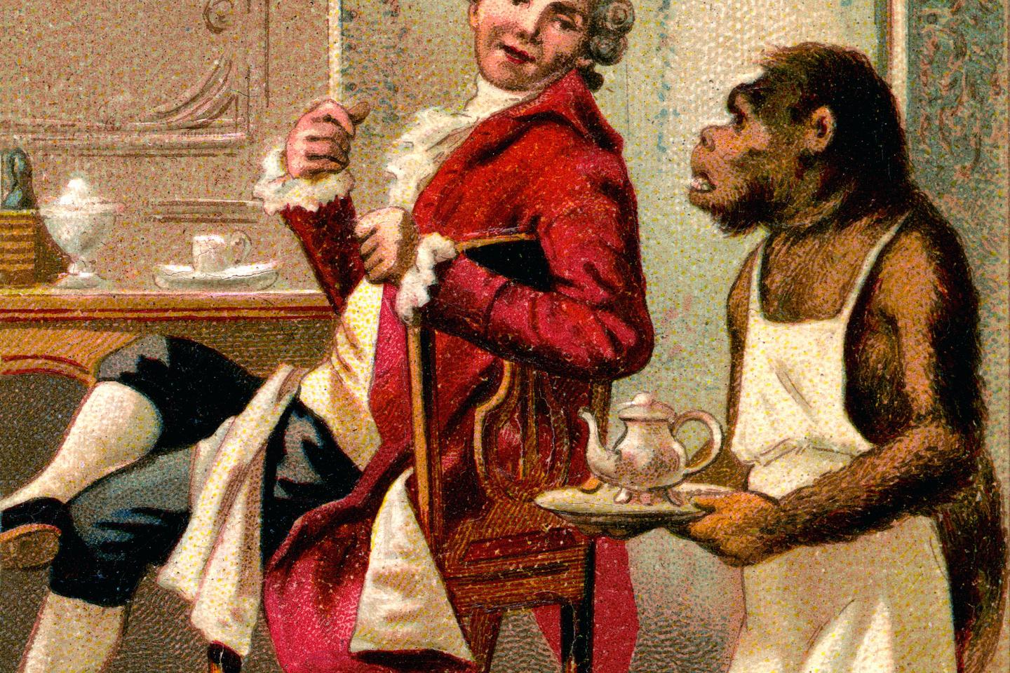 Histoire. La Révolution des animaux