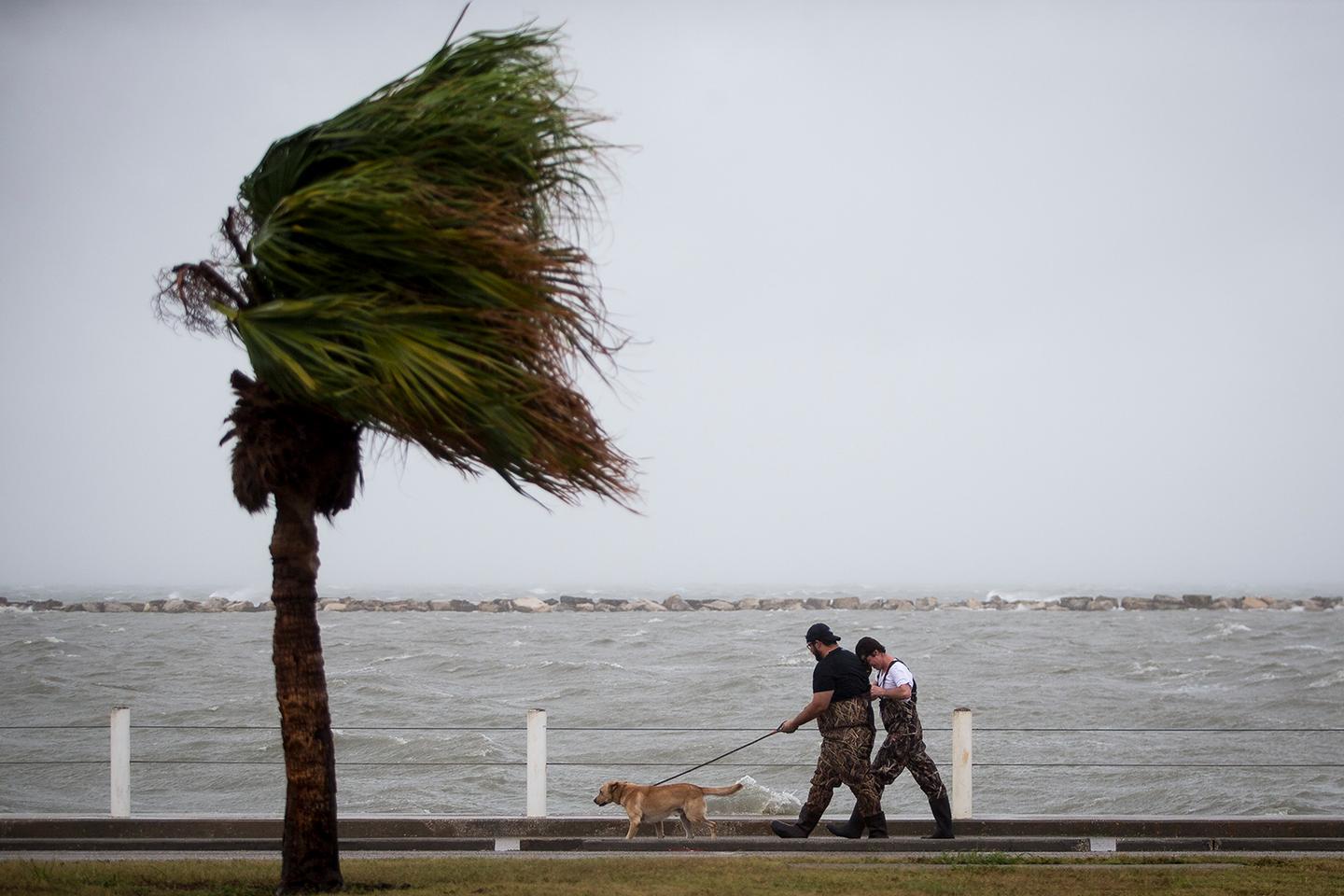 215 km/h de vent, des milliers de Texans évacués : l’ouragan Harvey en ...