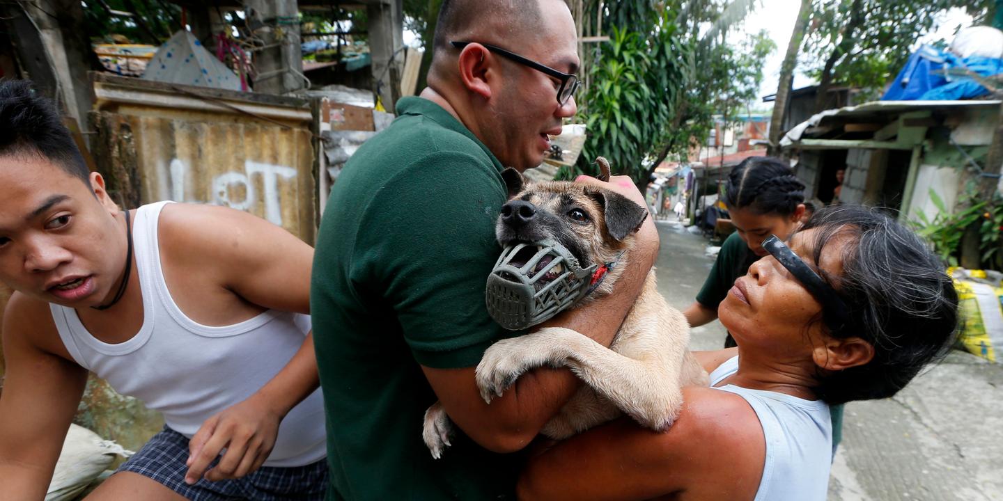 L’enfant revenu en France avec la rage est mort