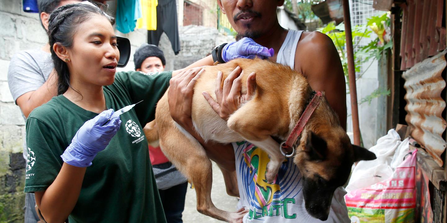 Un cas de rage importé en France chez un enfant