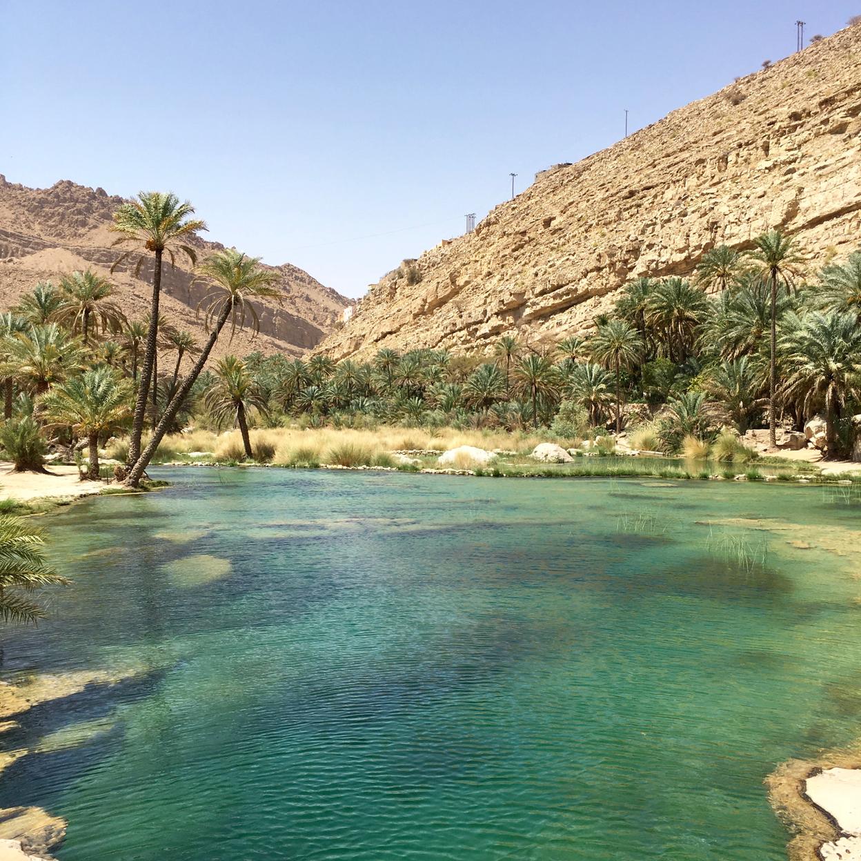 Oman, oasis de beauté entre mer et désert