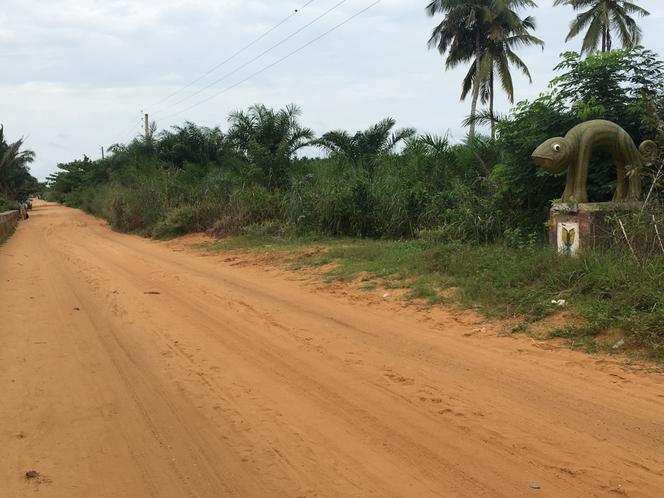 A Ouidah, « personne ne peut être considéré responsable de ce que ses ...