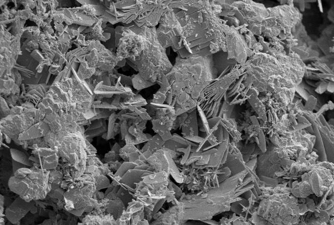 Paléo-inspiration : quand le passé invente le futur