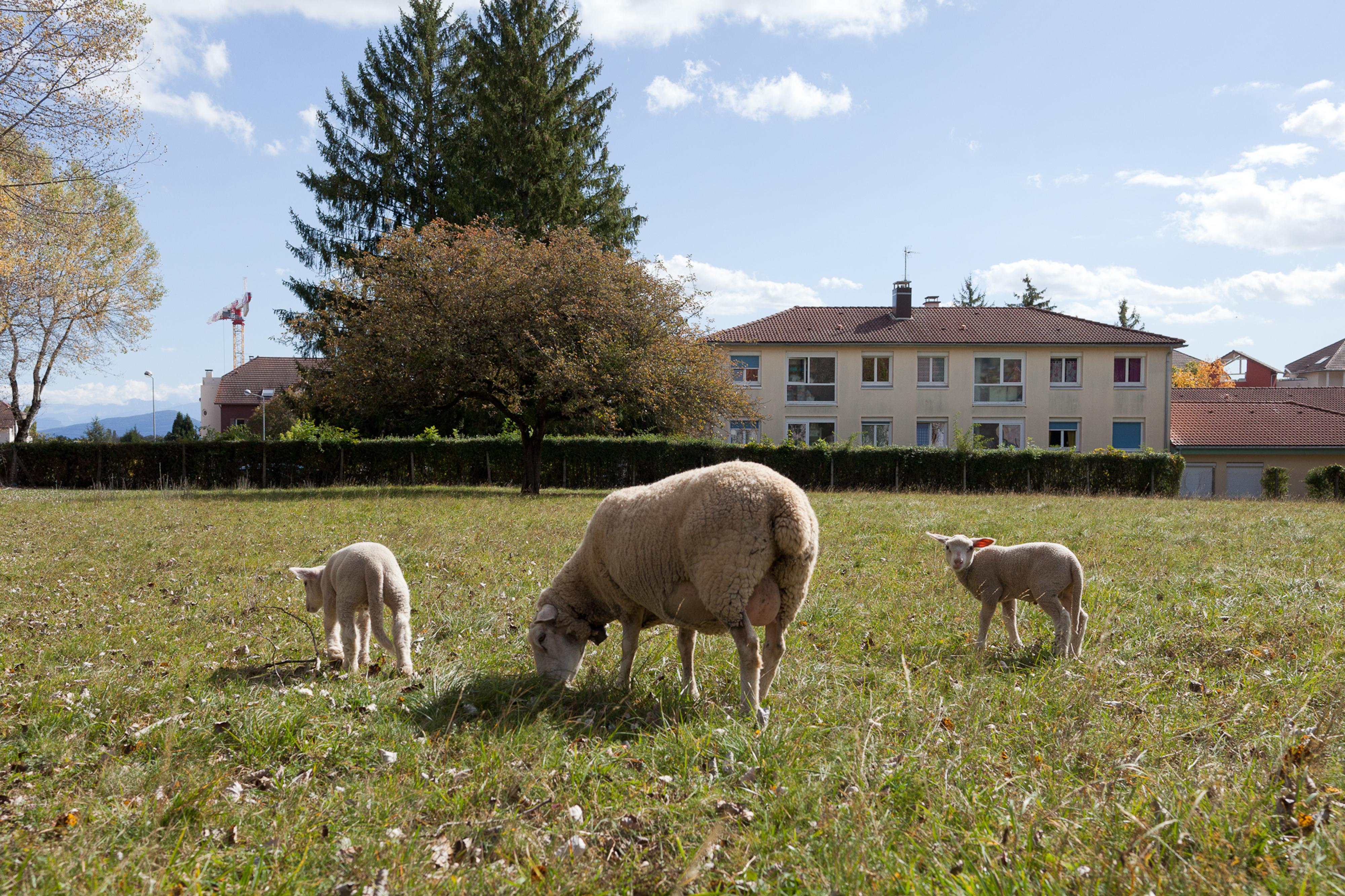 Saint-Genis-Pouilly, un village scientifique