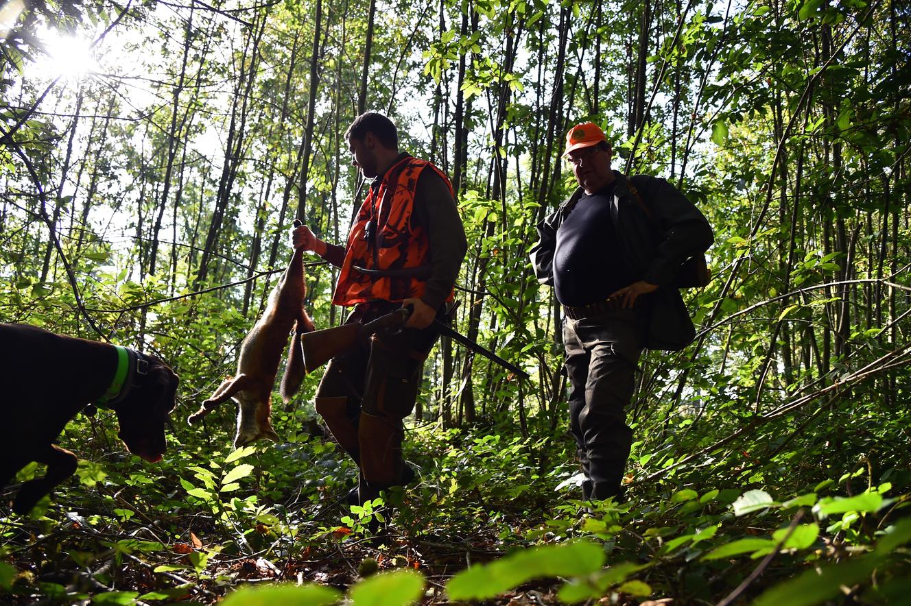 De plus en plus de Français désavouent les pratiques de chasse
