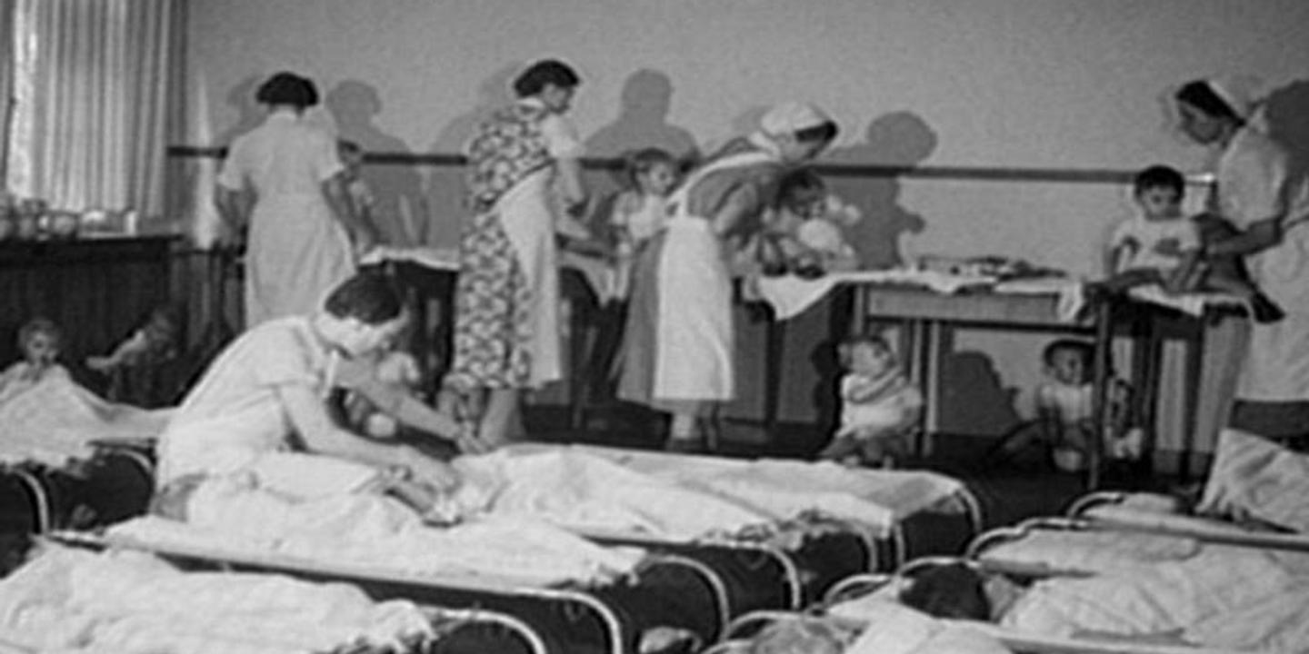 TV – « France, la nurserie oubliée du IIIe Reich