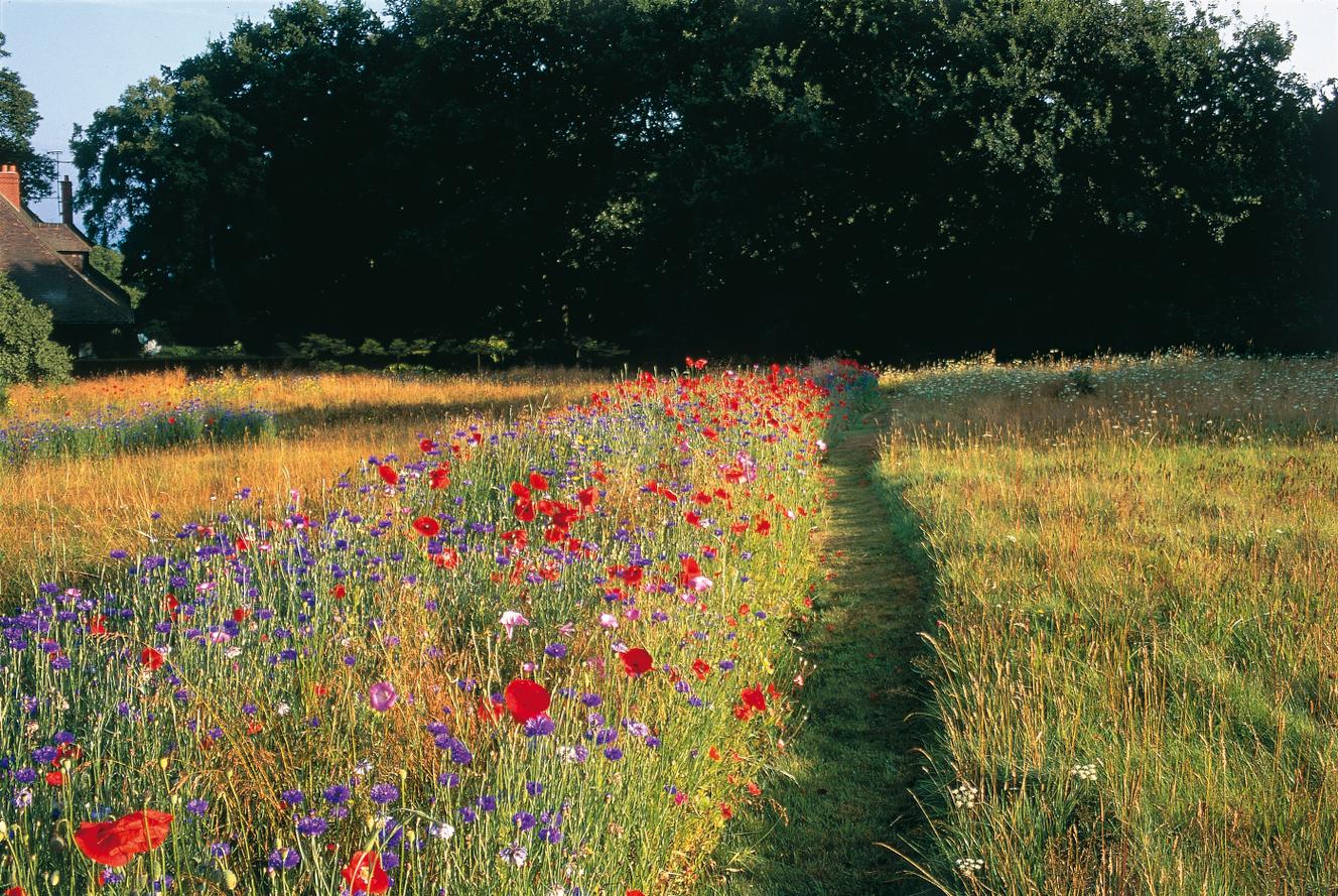 Sélection livre : « Pascal Cribier. Itinéraires d’un jardinier